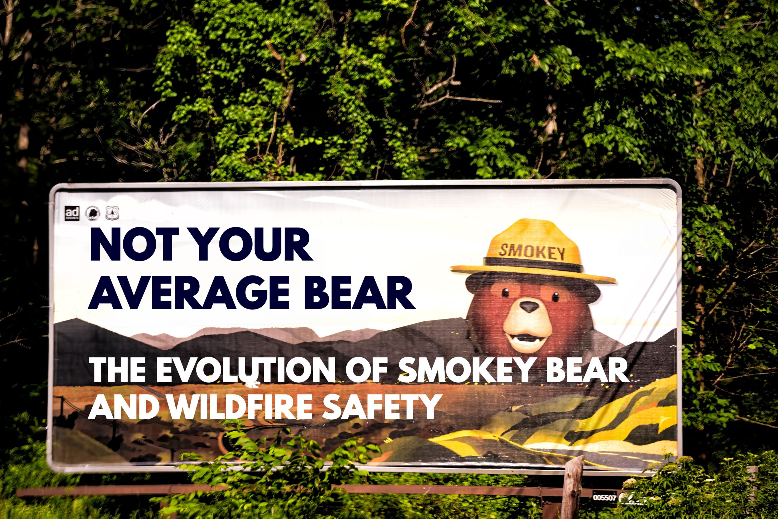 Smokey Bear Guidelines